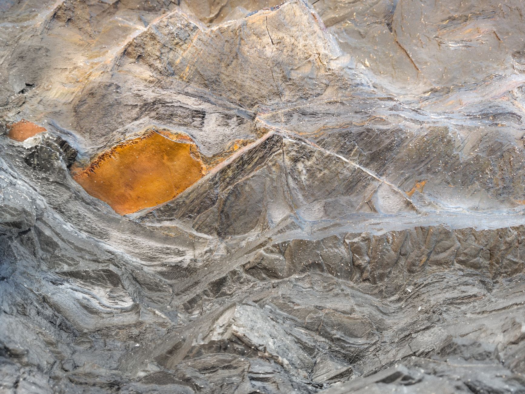 What to Watch for in PMET Resources' Upcoming Earnings Report | Wealth ...
